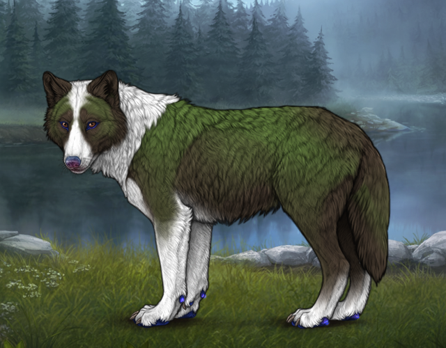 New Puppy |:| Wolvden