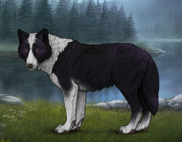 Chased Wolf Spotting - Revamped |:| Wolvden