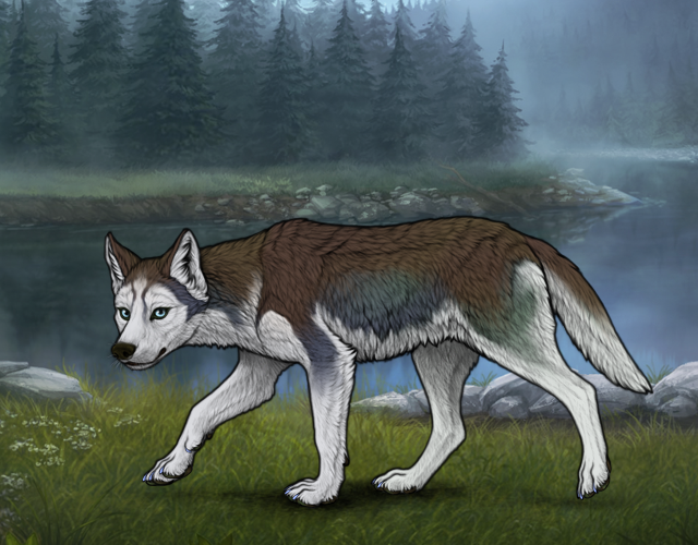 New Puppy |:| Wolvden