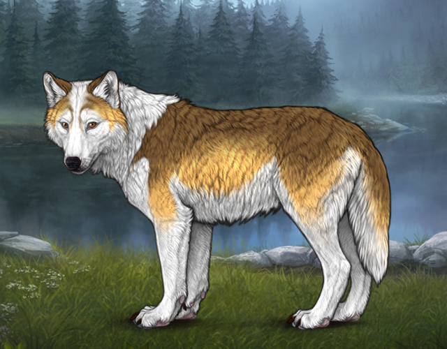 Perfect stud chance |:| Wolvden