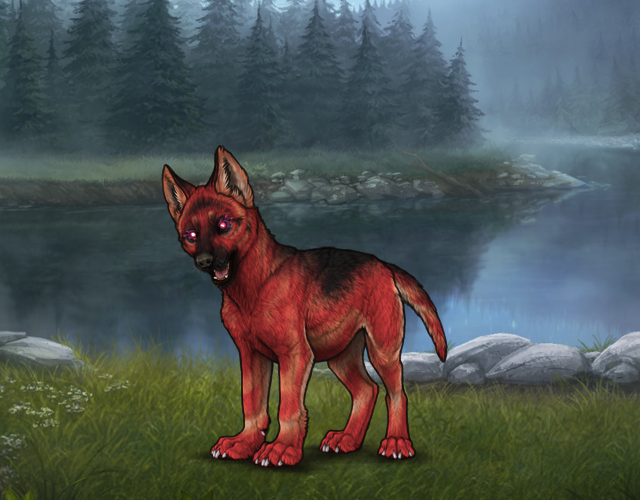 New Puppy |:| Wolvden