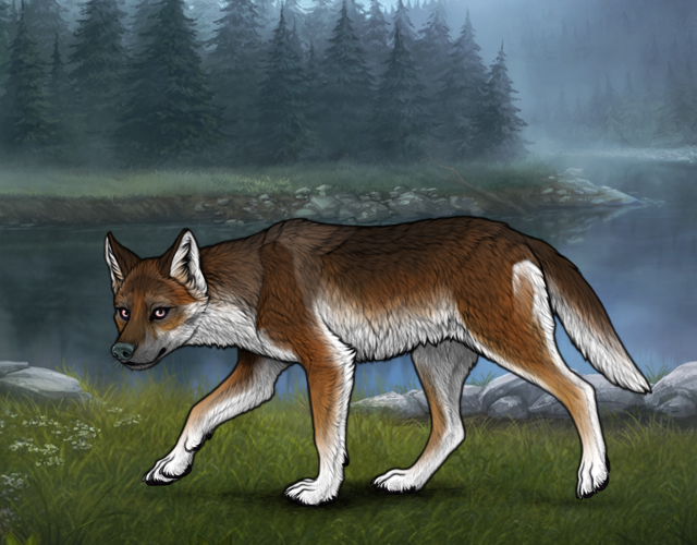 Lupin M (X) |:| Wolvden