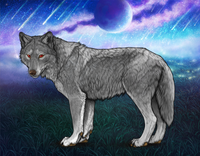 New Runt Puppy |:| Wolvden