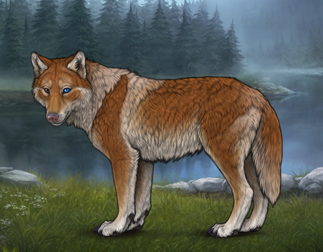 1147 Stats T2 |:| Wolvden