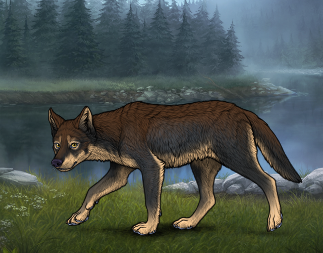 Brass 3M $ |:| Wolvden