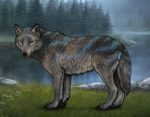 Sell, T3, G8, 3M, NIB |:| Wolvden