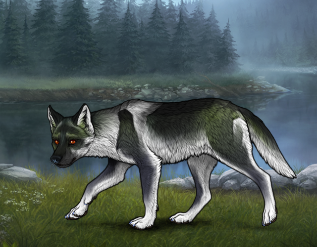 New Puppy |:| Wolvden