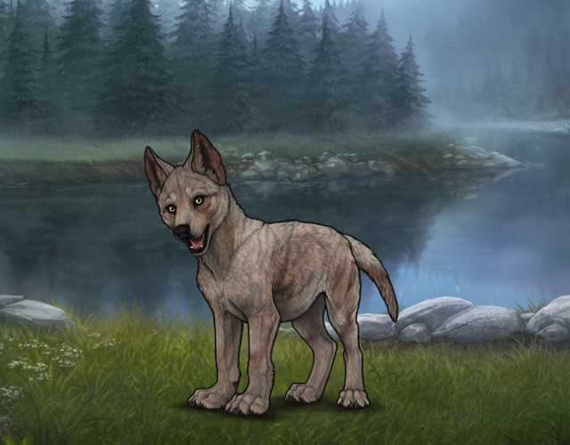 RC Bone 5M |:| Wolvden