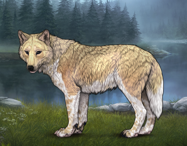 raffle pup |:| Wolvden