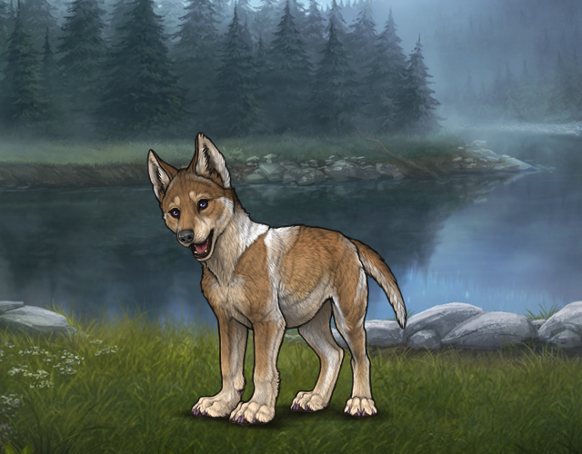 r&c 10 mint ** |:| Wolvden