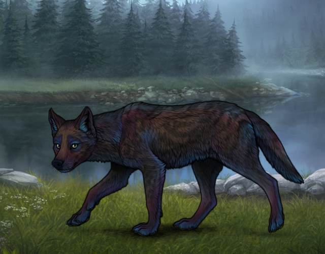 6m caramel F |:| Wolvden