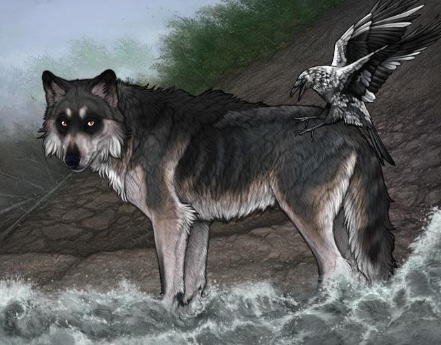 G3 T3 Iridium | Chaser |:| Wolvden