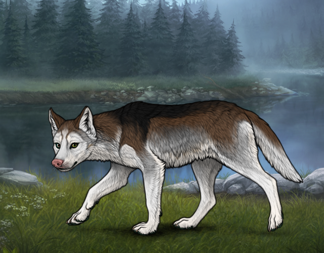 Sell (F, Onyx T2) |:| Wolvden