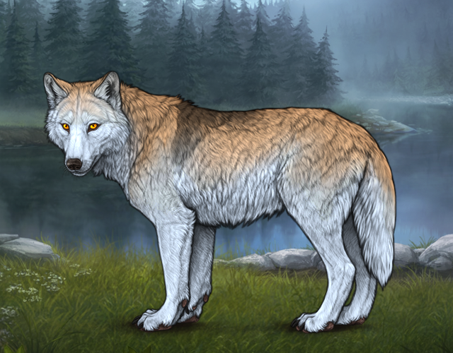 frost/allergynighmarebby |:| Wolvden