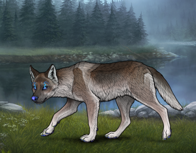 G2 Pretty Orca Pup |:| Wolvden