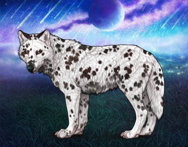 (p) Speckled Cloud |:| Wolvden