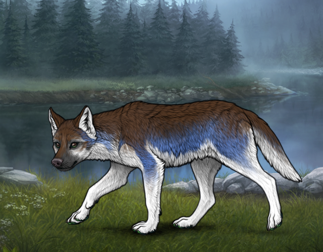 Chased Wolf Spotting - Revamped |:| Wolvden