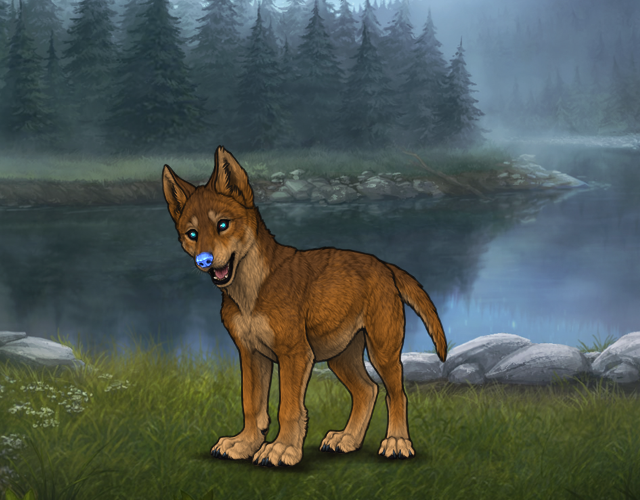 New Puppy |:| Wolvden