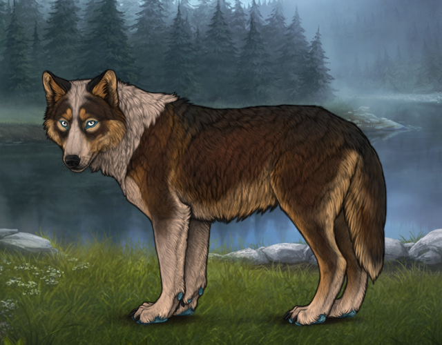 G2 seal 8m 248 |:| Wolvden