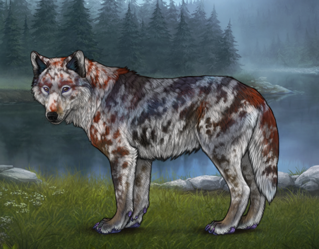 Reveranda [G1] |:| Wolvden