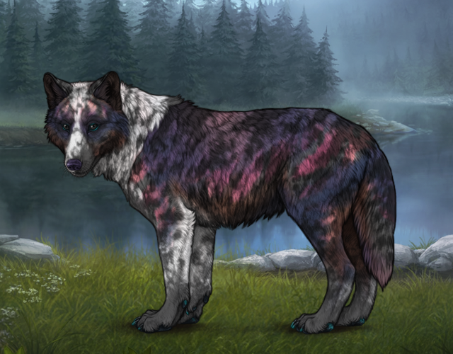 Patches * |:| Wolvden