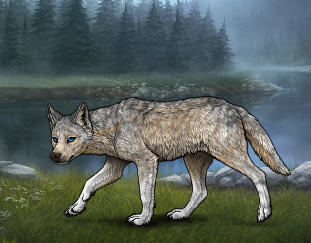 Moonshine |:| Wolvden