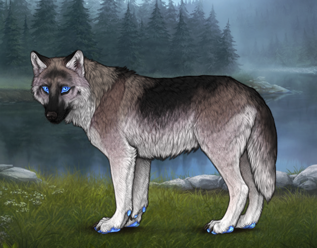 Salt F pup | 6M 346 |:| Wolvden