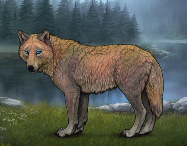 T3 1,2,3,4,6,8,9 |:| Wolvden