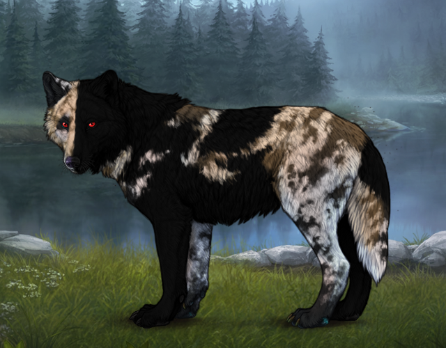 $ Split Lily 408 F G2 |:| Wolvden