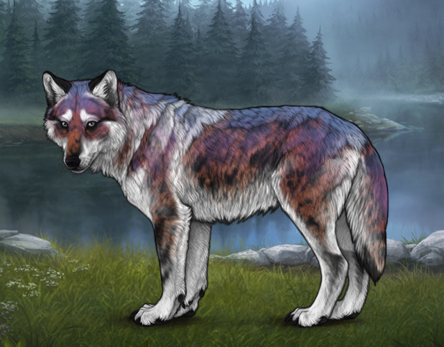 Vixen G2 |:| Wolvden