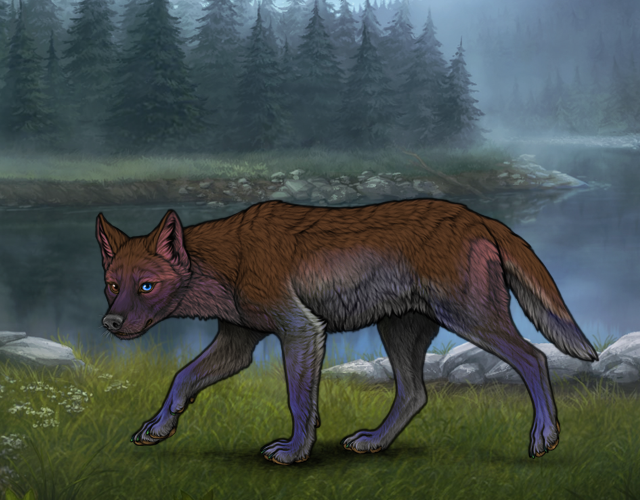 G2 Storm Fox 5m 448s |:| Wolvden