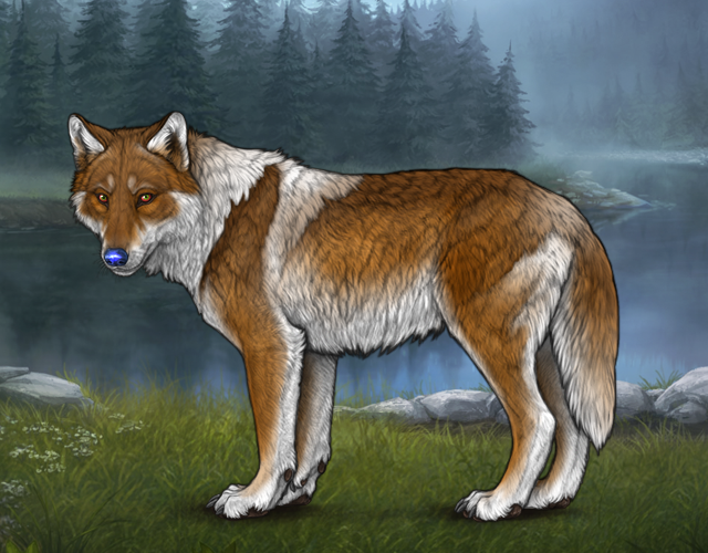 Enclave • 10 SC |:| Wolvden