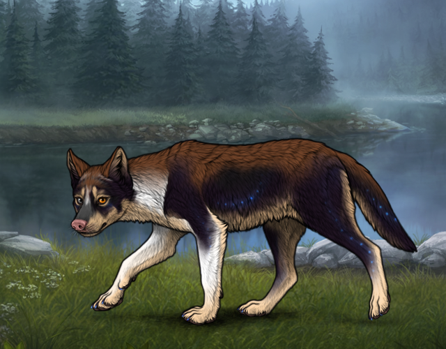 +Almond 8M 301 F G2 |:| Wolvden