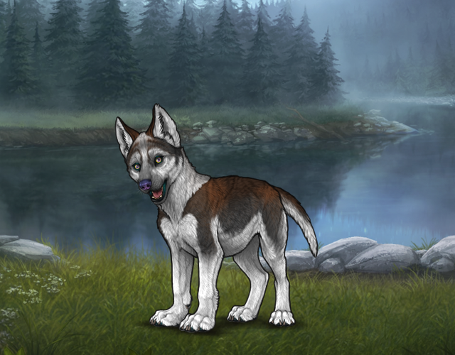 giveaway |:| Wolvden