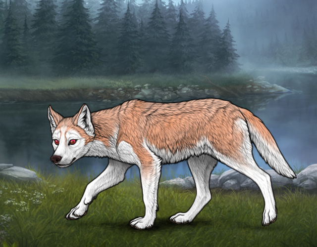 Chased Wolf Spotting - Revamped |:| Wolvden