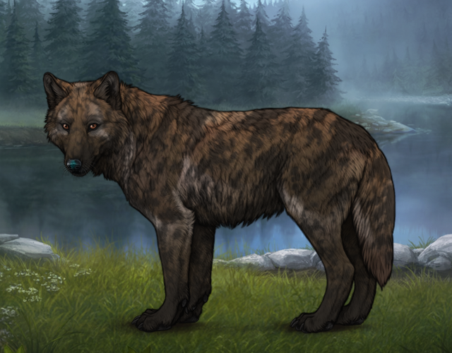 1. G2 HORNFELS TIII MERLE |:| Wolvden