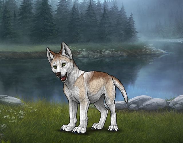 Mojave Female |:| Wolvden