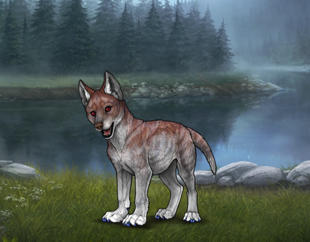 New Puppy |:| Wolvden