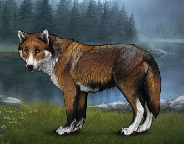 Chased Wolf Spotting!!! |:| Wolvden