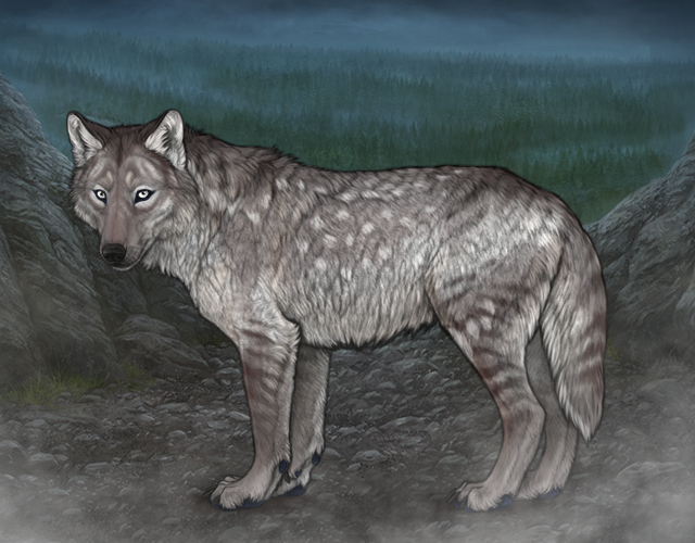 Nezha 2C |:| Wolvden