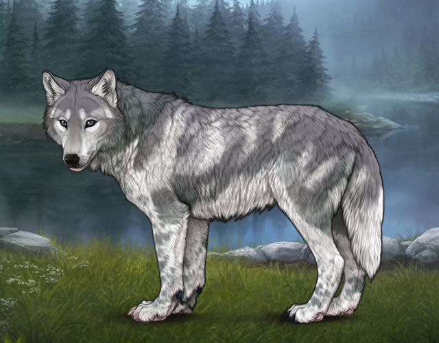 G2T1 Zerdava Pie 4M Orca |:| Wolvden