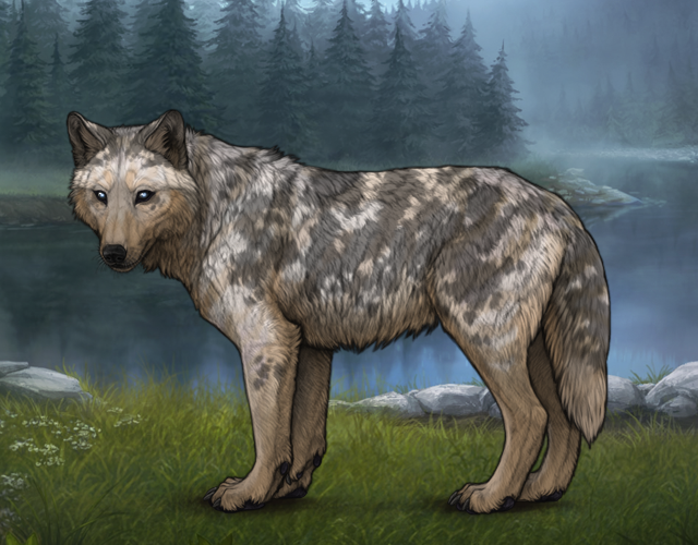 G4 Tier II 6m |:| Wolvden