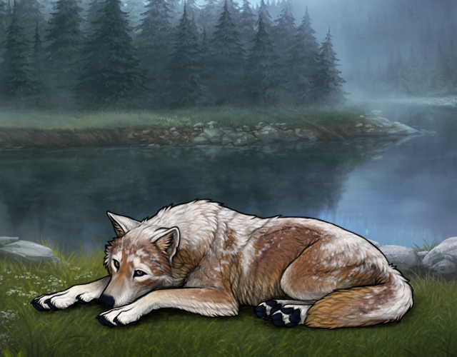 Chased Wolf Spotting - Revamped |:| Wolvden