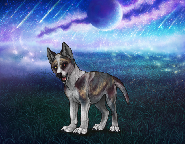 New Puppy |:| Wolvden