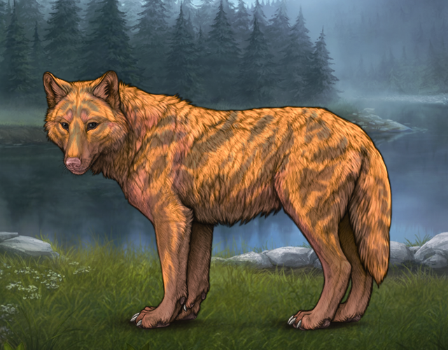 G3 700s F T1 2m Combo |:| Wolvden