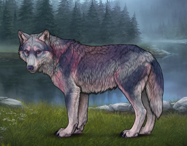 Female blue 3m colorbomb |:| Wolvden