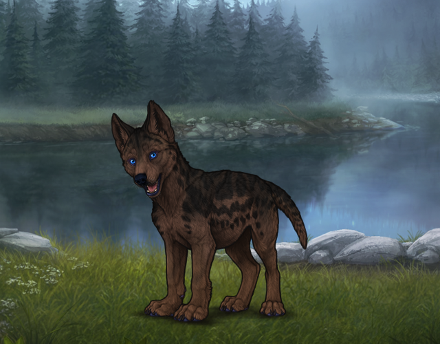 New Puppy |:| Wolvden