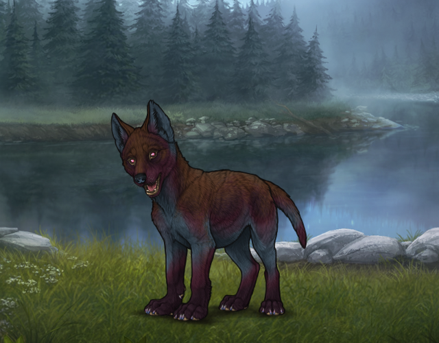 Seal Orca Merle HUSKY |:| Wolvden