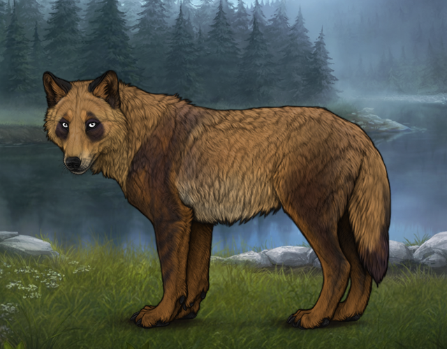 G2 Seal 4M |:| Wolvden