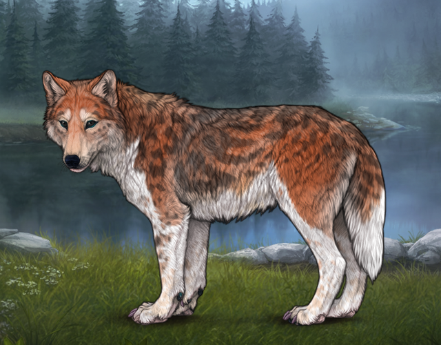 Zerdava G3 || T2 6M |:| Wolvden